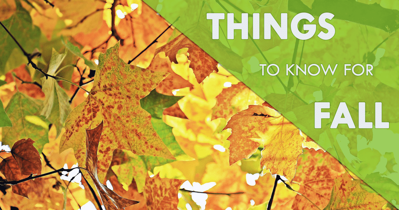 3 reasons to service your hvac unit in the fall - A/C Masters Heating ...